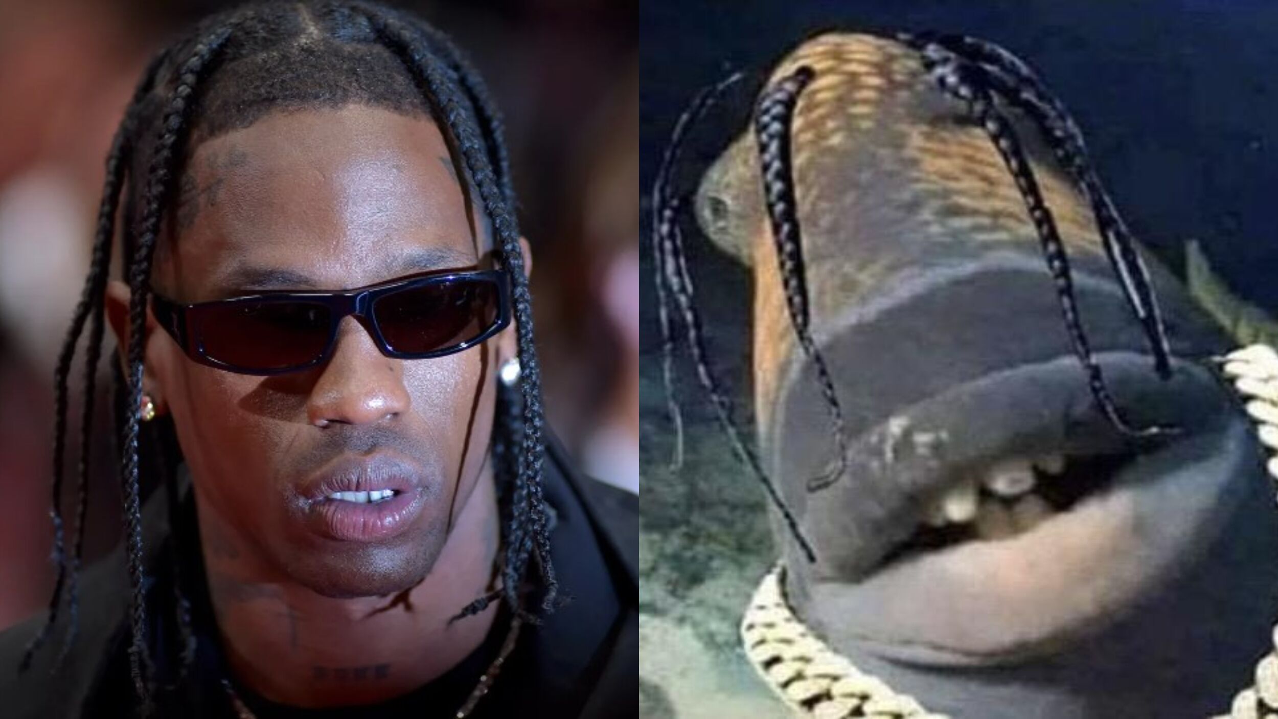 Travis Scott Fish: Hilarious, viral meme inspired by American rapper's ... Travis Scott Fish: Hilarious, viral meme inspired by American rapper's ...
